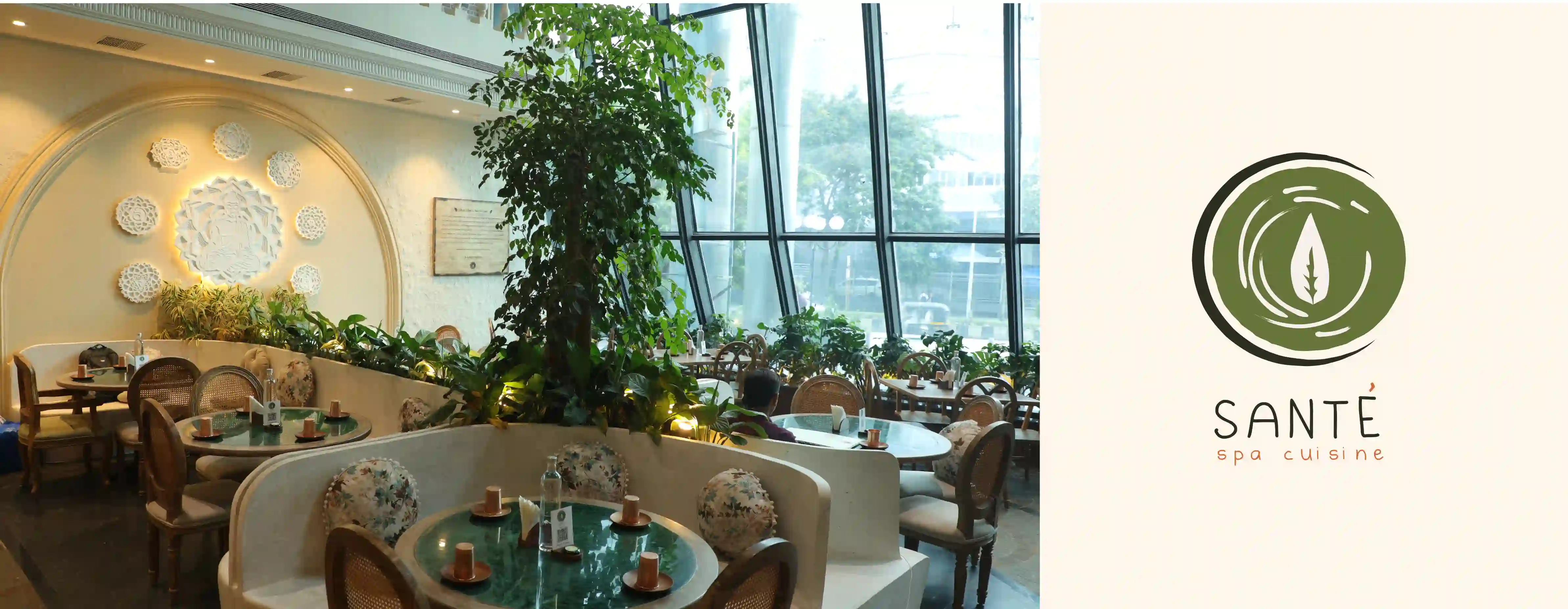 Cracking the Culinary Code: How Sante Spa Cuisine is Redefining ...