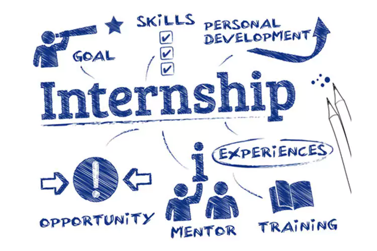 How To Choose The Right Career Path After Graduation | Times Ascent