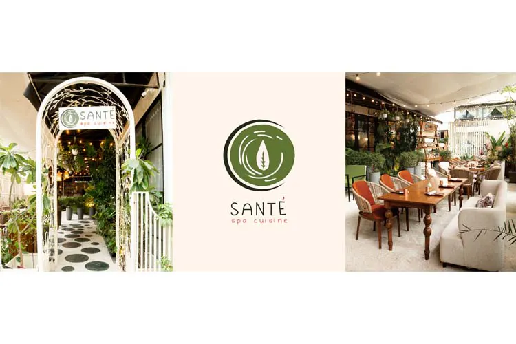 Sante Spa Cuisine: A Unique Fusion of Clean Eating and Vegetarian Culinary Innovation