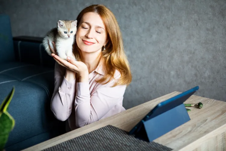 Insurance for Pets, Exchanging GIFs... Cos Start Speaking GenZ