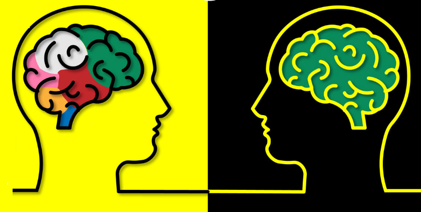 Leadership: Depth Vs Breadth | Times Ascent